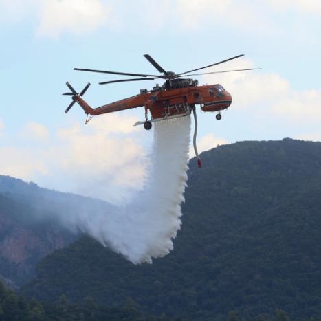 Fighting forest fires.jpg | UCP Knowledge Network