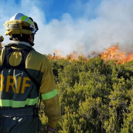 UCPM Peer Review Programme_1.jpg | UCP Knowledge Network