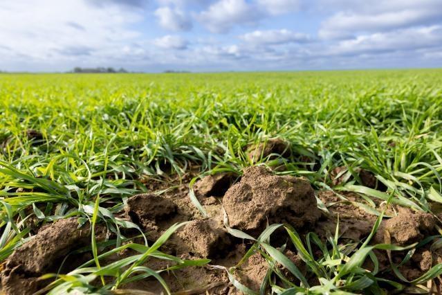 New Soil Monitoring and Resilience Directive | UCP Knowledge Network