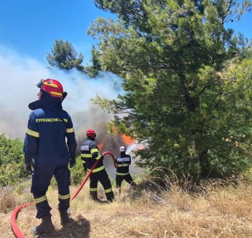 Romanian firefighters during a forest fire in Porto Germano.jpg | UCP ...