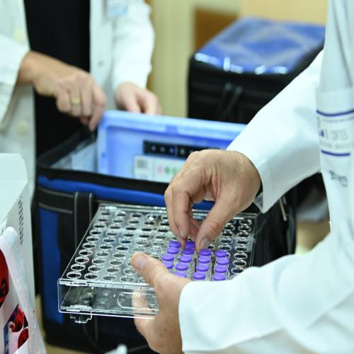 Epidemics/pandemics | UCP Knowledge Network