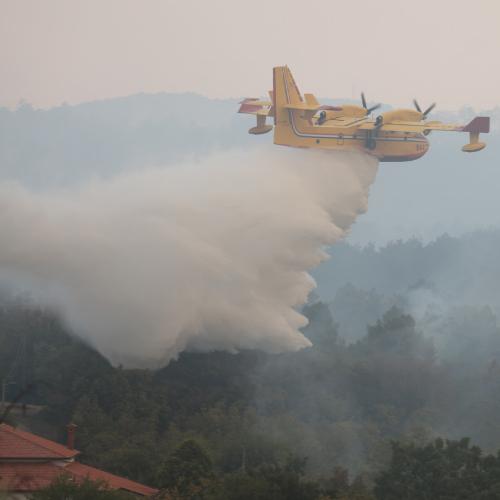 New EU Framework for Forest Monitoring | UCP Knowledge Network