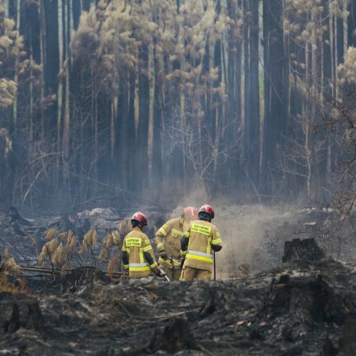 EU ministerial meeting on forest fires | UCP Knowledge Network